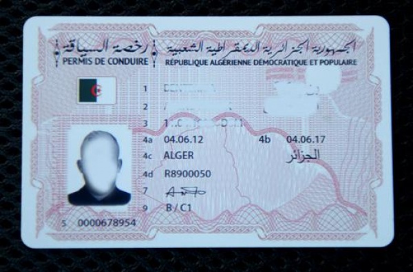 Mise en service officielle du permis à points et carte grise ...